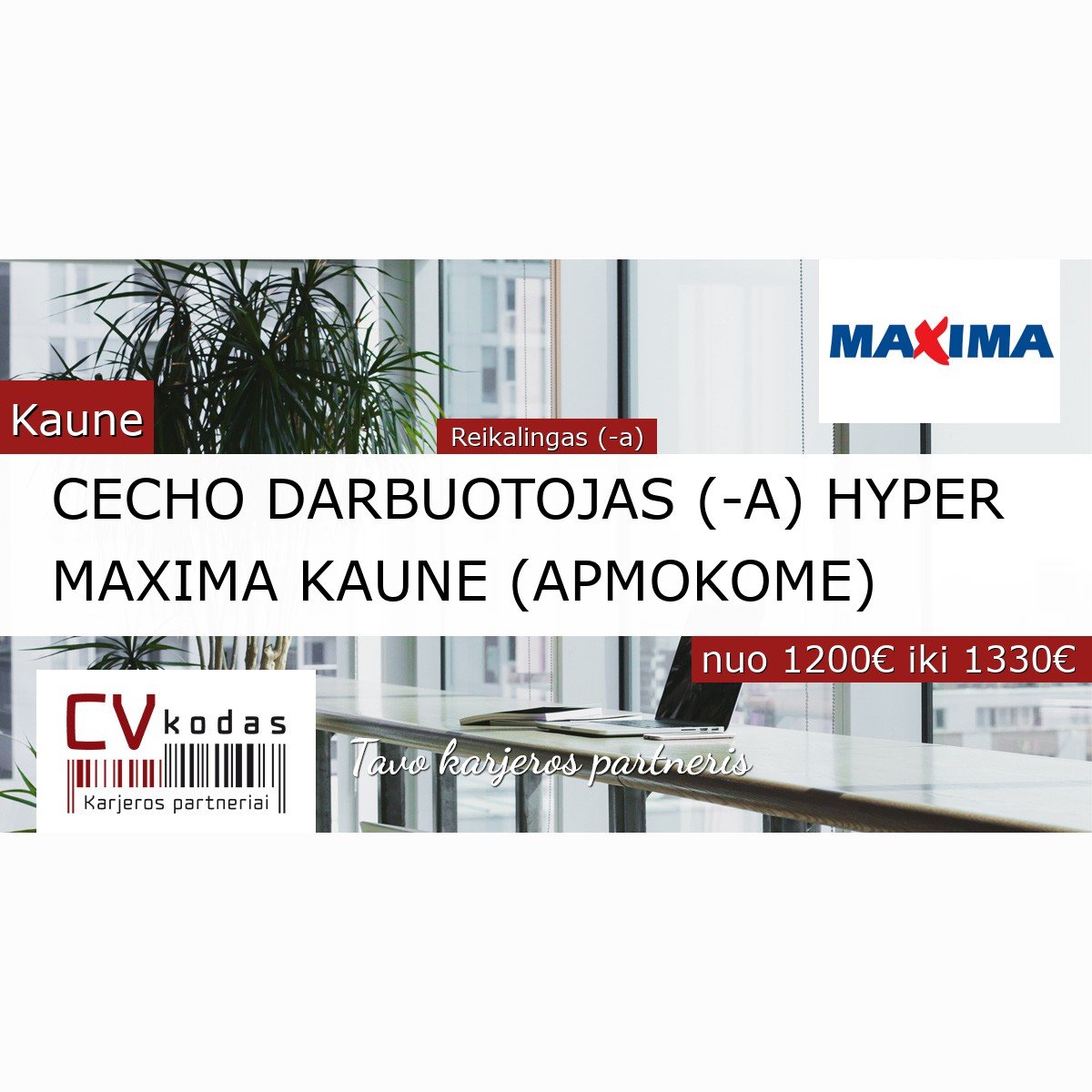 CECHO DARBUOTOJAS (-A) HYPER MAXIMA KAUNE (I-V GRAFIKAS) | cvkodas.lt